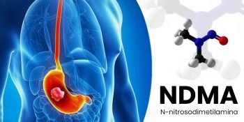 CMS Científica do Brasil Padrão de referência para detectar a N ...